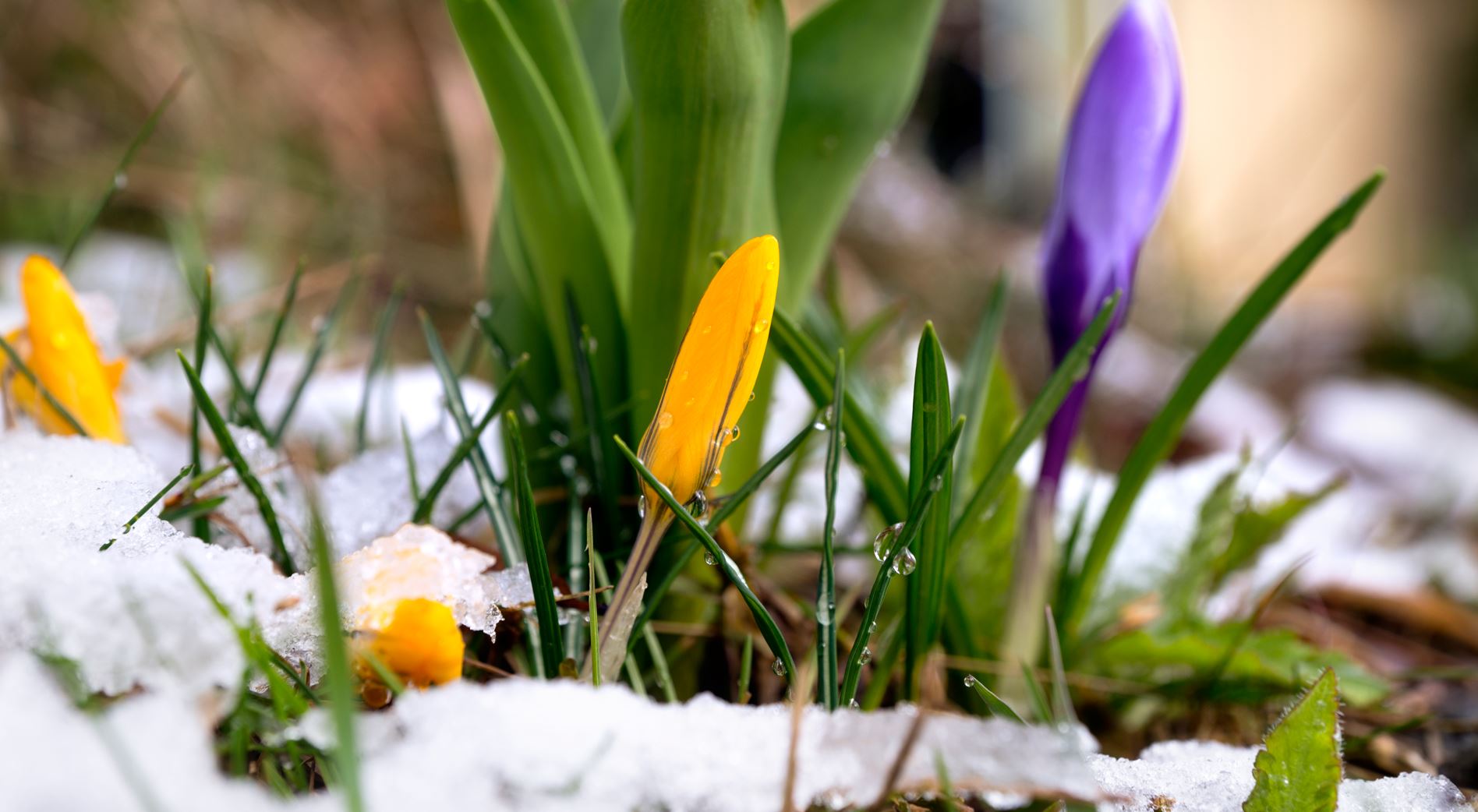 Comparing the Coldest and Warmest First Days of Spring - WeatherNation