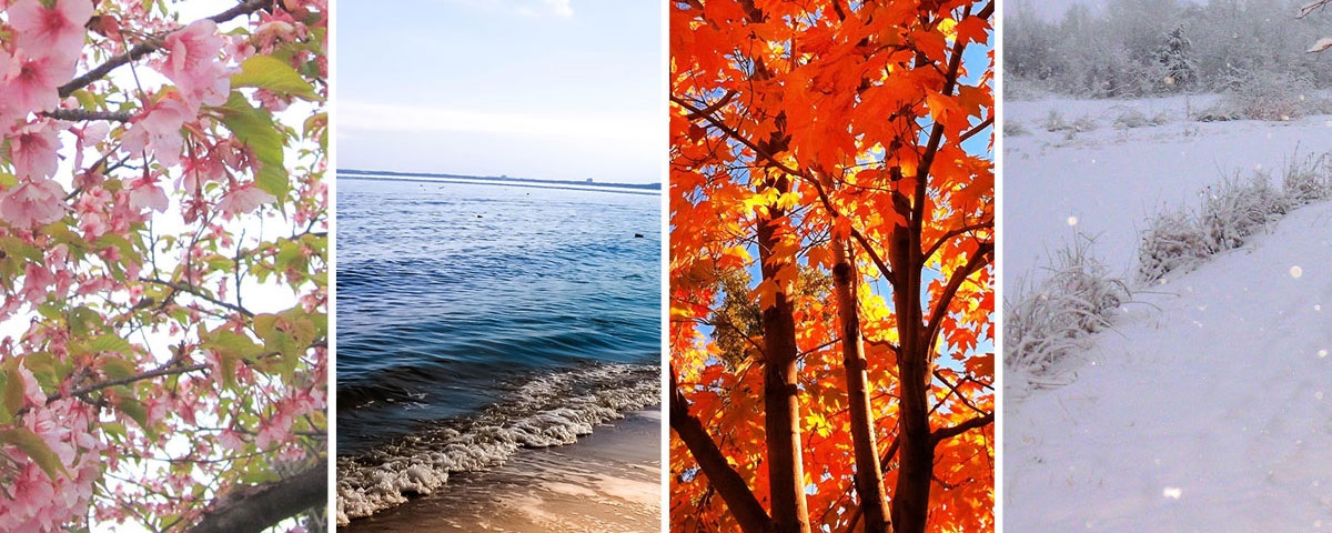 August to October Outlook from NOAA's Climate Prediction Center ...