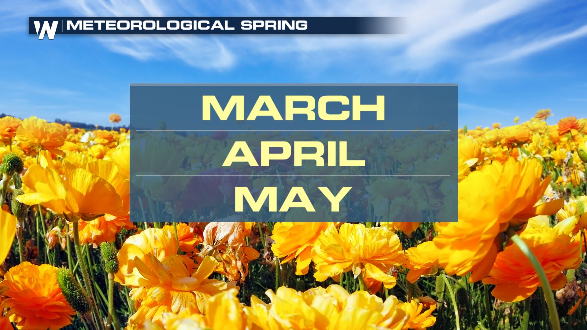 Spring Stats - A Look Back the Warmest, Wettest, Driest and Coldest of ...