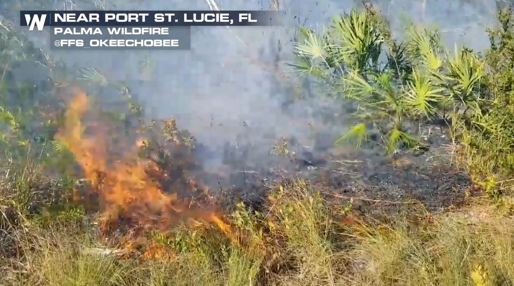 Lightning To Blame for Florida Wildfires - WeatherNation