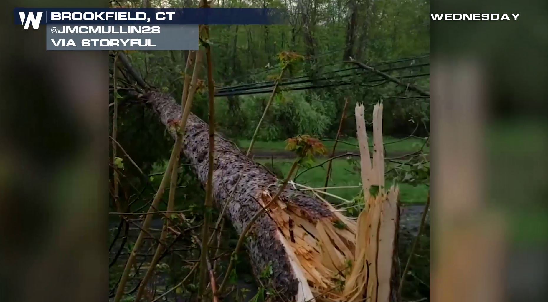 It's Official: We Were Hit by a 'Macroburst' - WeatherNation