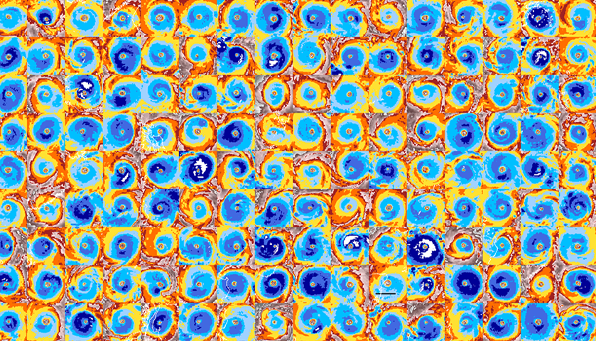 Eye-Catching Climatology: Examining Hurricane Eye Location and Size ...