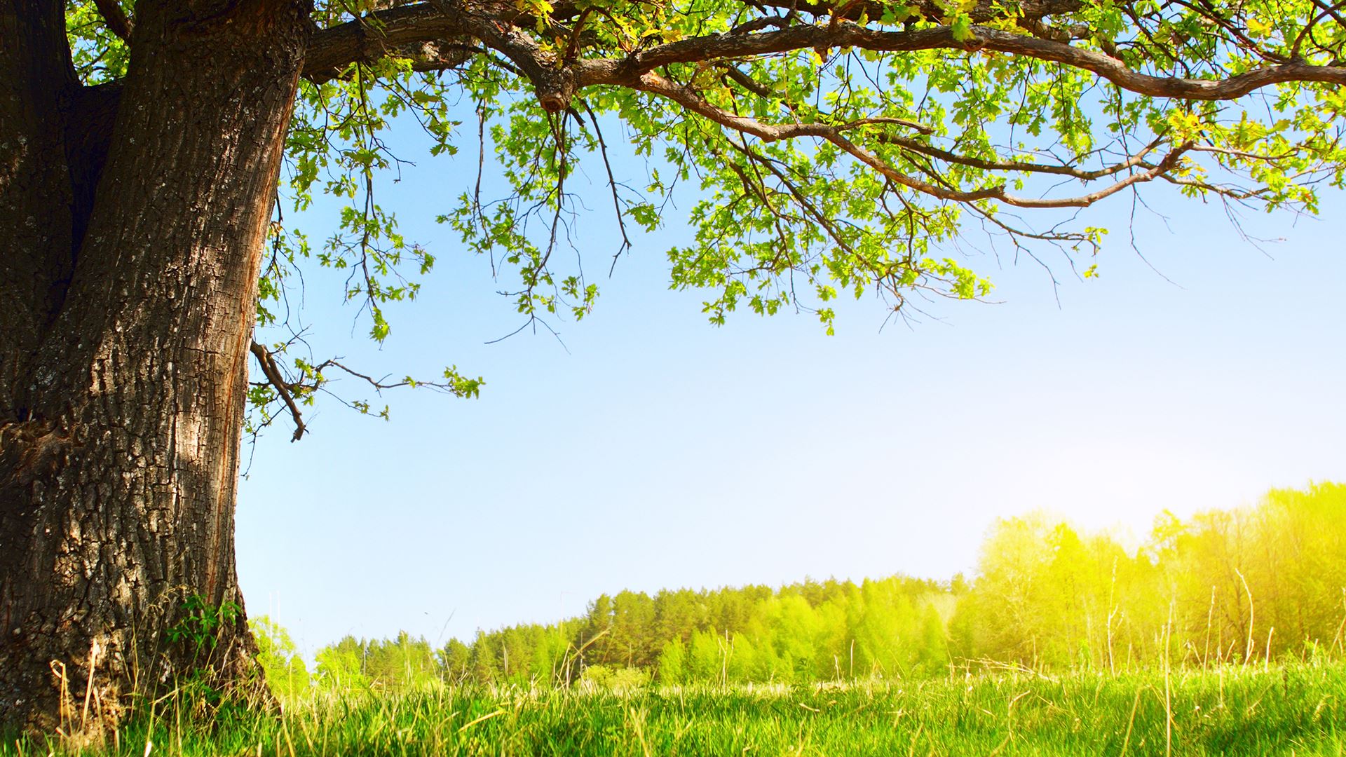 August Outlook - WeatherNation