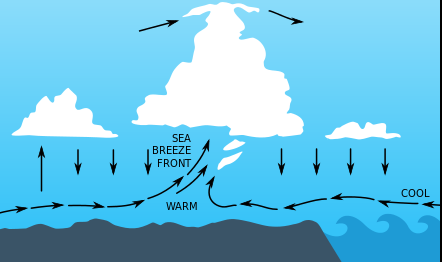 In Florida, A Sea Breeze Usually Leads To Thunderstorms - WeatherNation