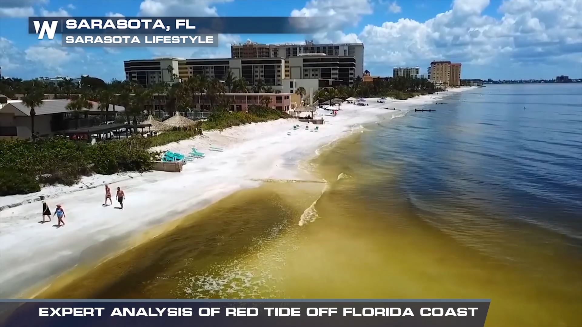 Florida Red Tide Sarasota 2018 "Red Tide" Algae Bloom Could Last For