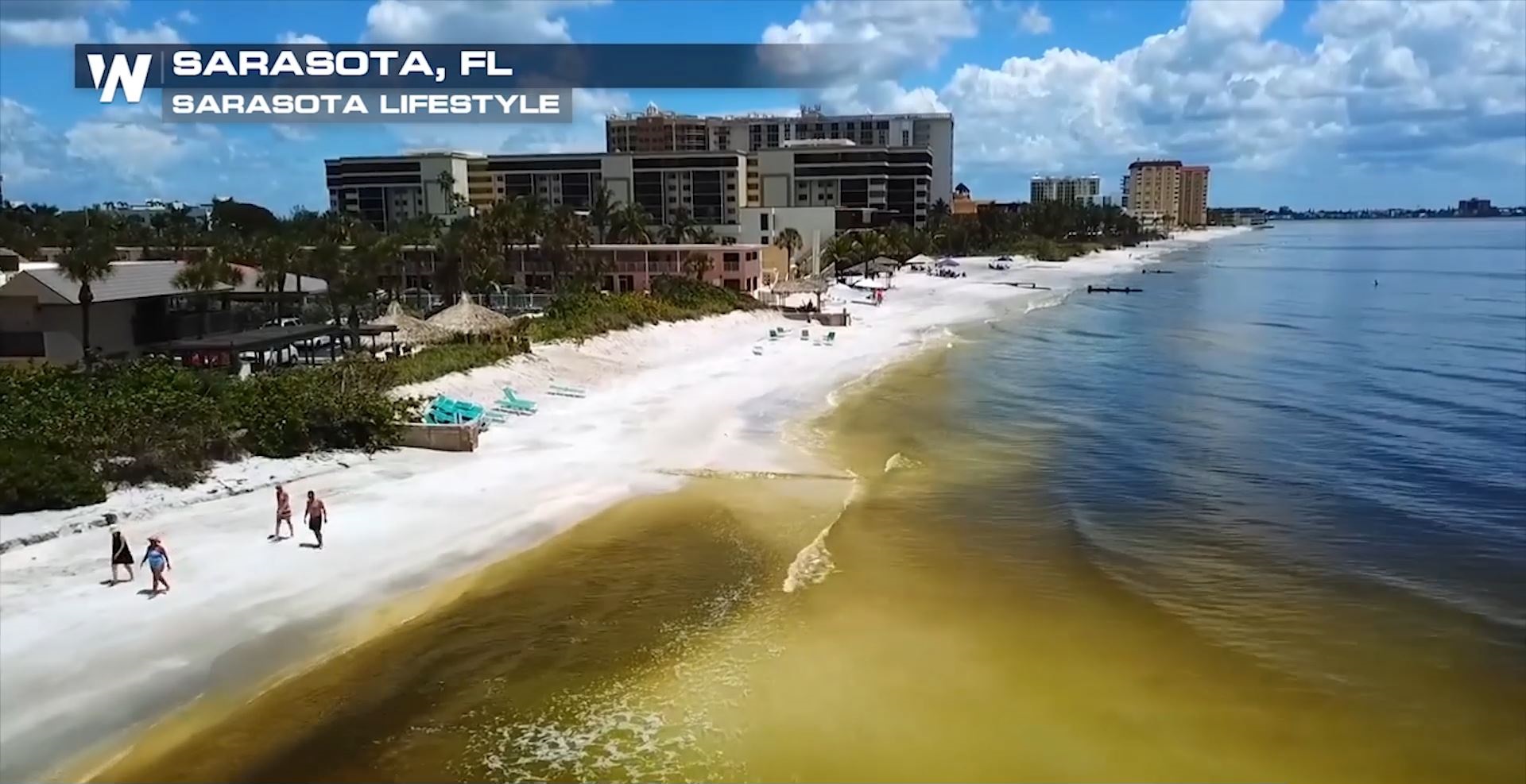 Harmful Red Tide Algae Bloom Lingers in Parts of Florida - WeatherNation