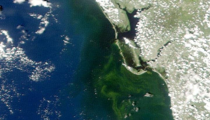 Tracking Florida’s Red Tides with Satellites and Smartphones ...