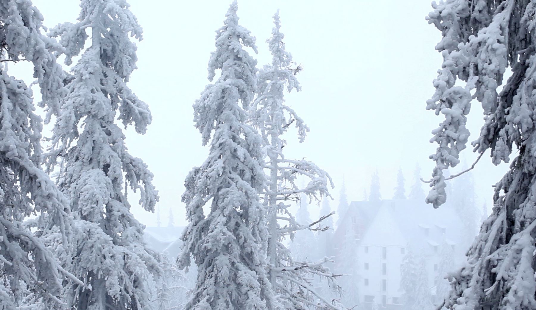 Big Snows for Western Mountains; Close to 3 Feet Ahead for the Sierras ...