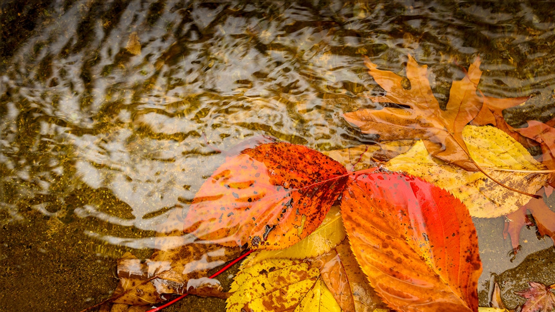 October Stats - A Wet Month and the Coldest in Five Years - WeatherNation