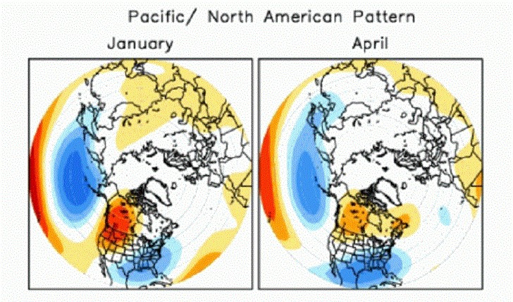 The Pacific-North American Pattern: the Stomach Sleeper of the ...