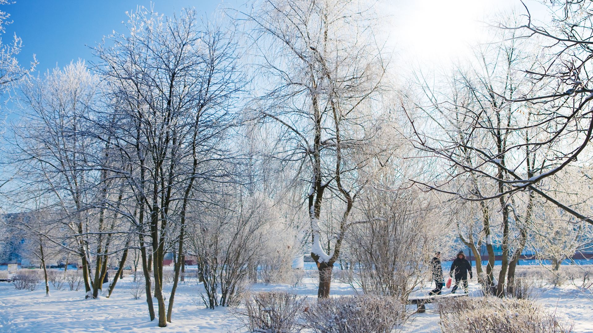 Hartford, Connecticut Off to its Snowiest Start to a Winter Season on ...