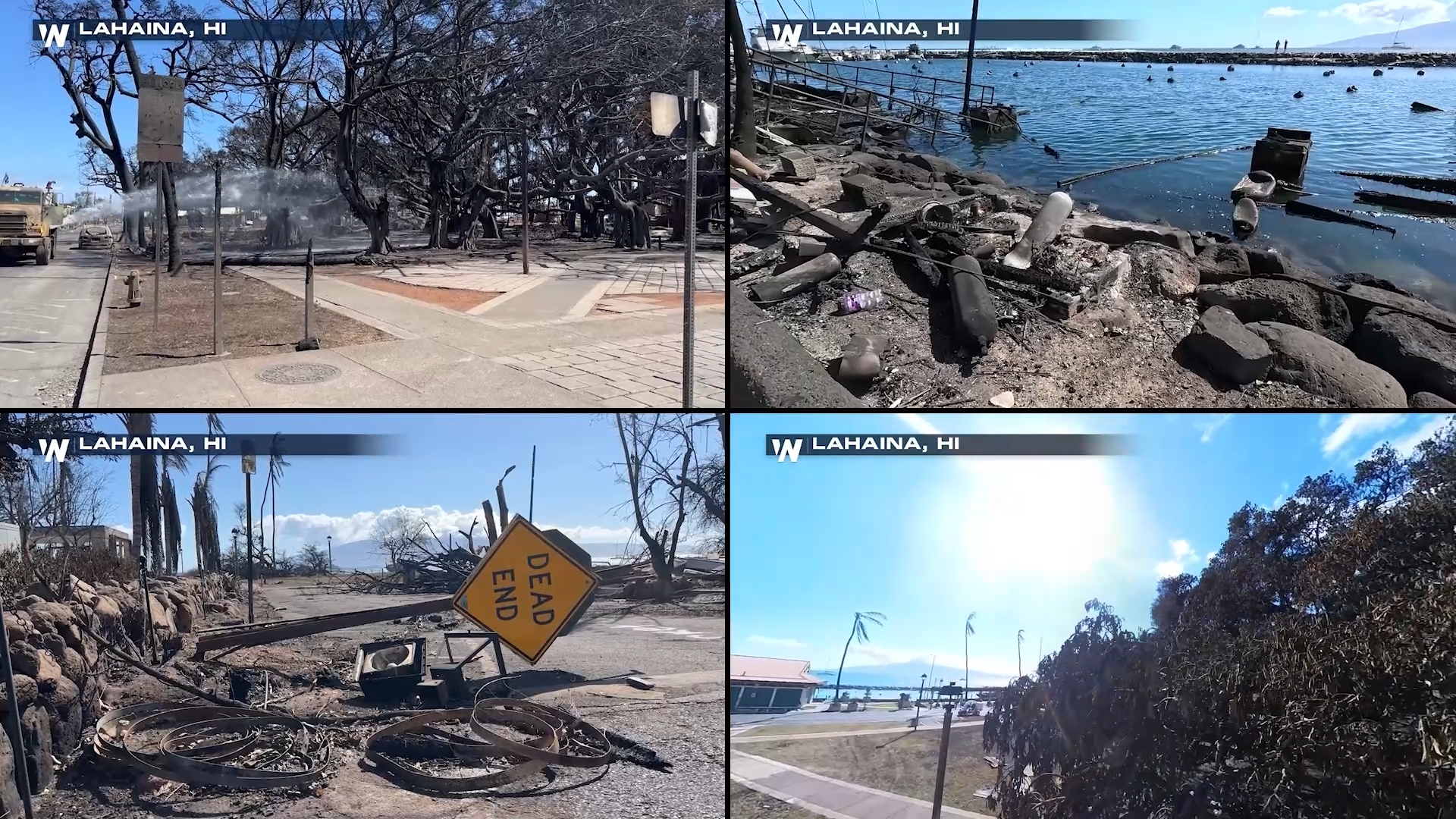 Lahaina Fire: Deadliest in U.S. Modern History - WeatherNation