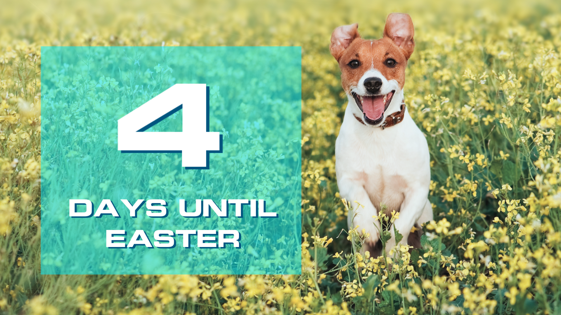 Easter Forecast: Who's Cracking Open Some Nice Weather - WeatherNation