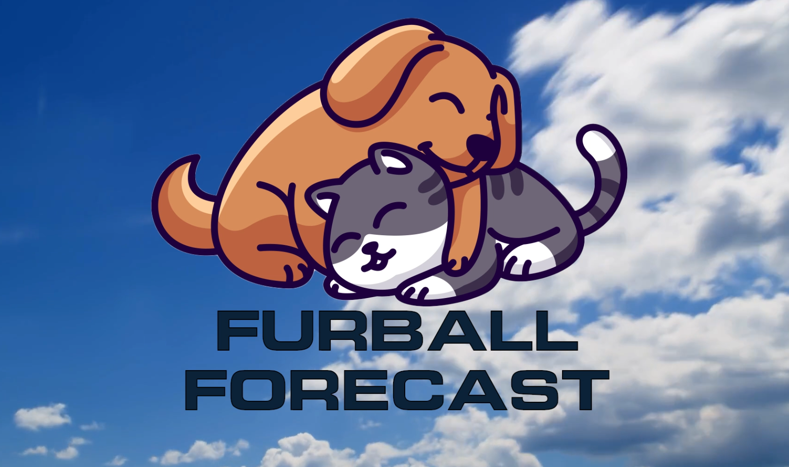 🐾Furball Forecast 🐾 Our Favorite Furry Friends - WeatherNation
