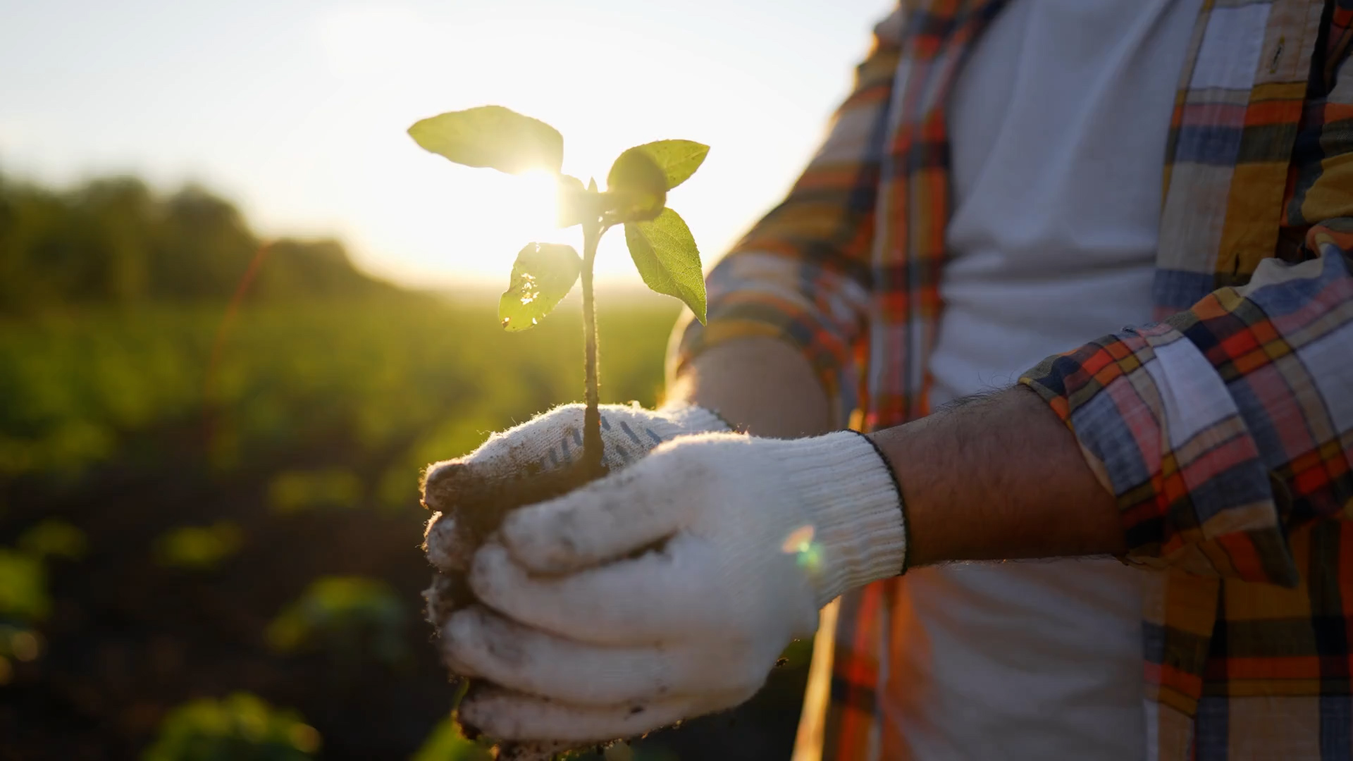 Celebrating Earth and Arbor Day 2026 - WeatherNation